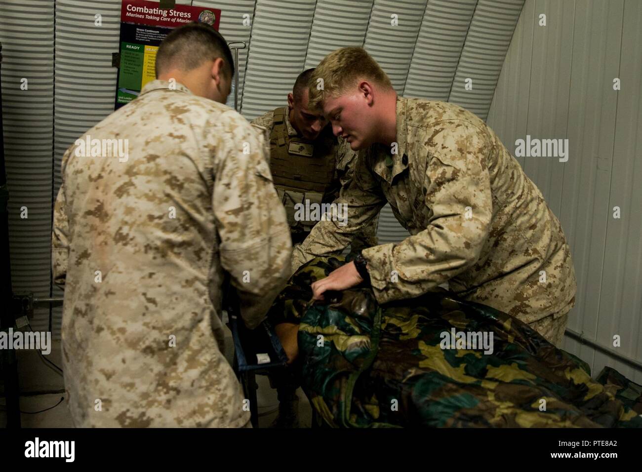 U.S. Navy corpsman assigned to Marine Air-Ground Task Force-8 (MAGTF ...