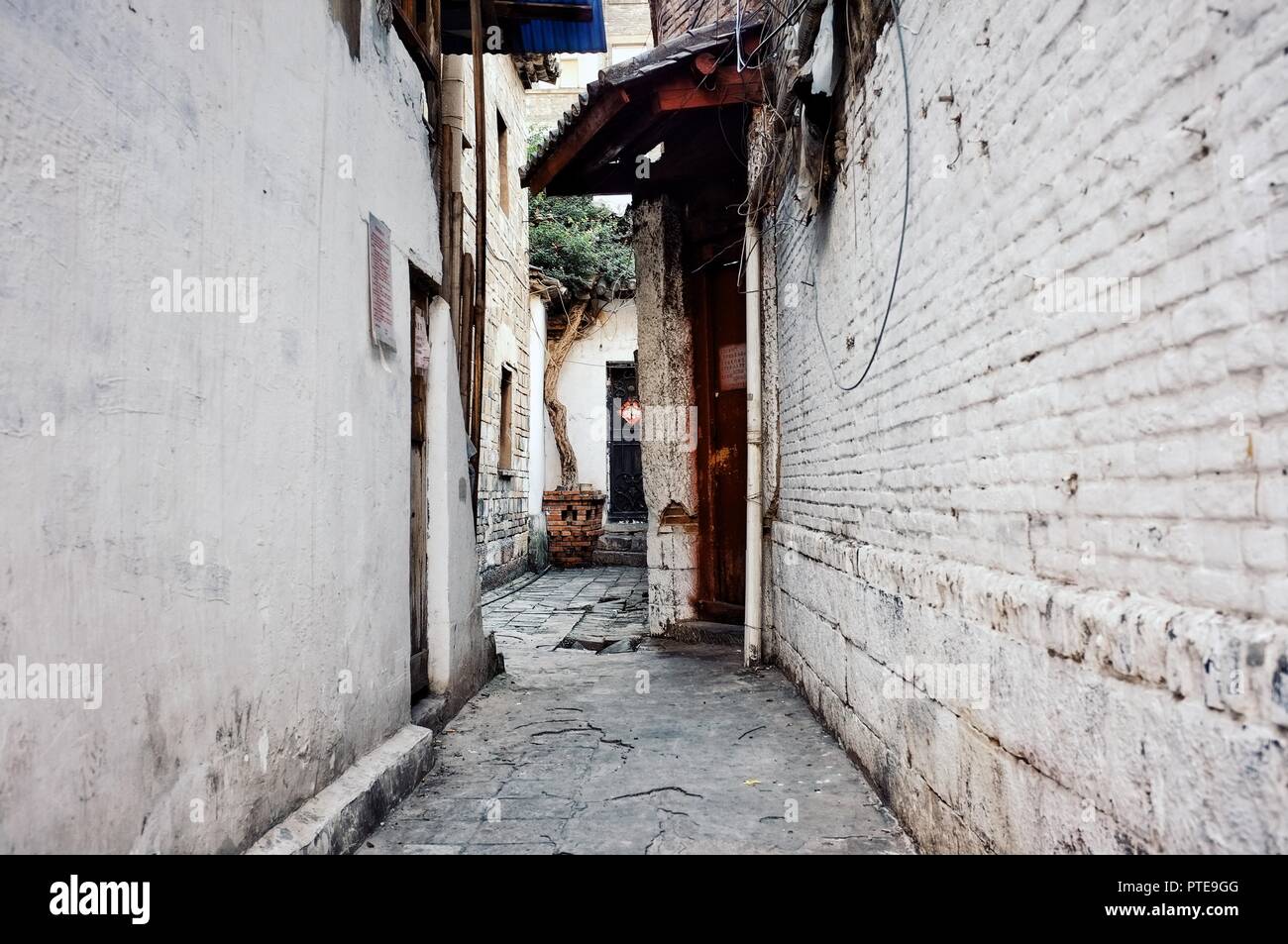 quiet backstreet mood at beijing china with rusty doors and a tree ...