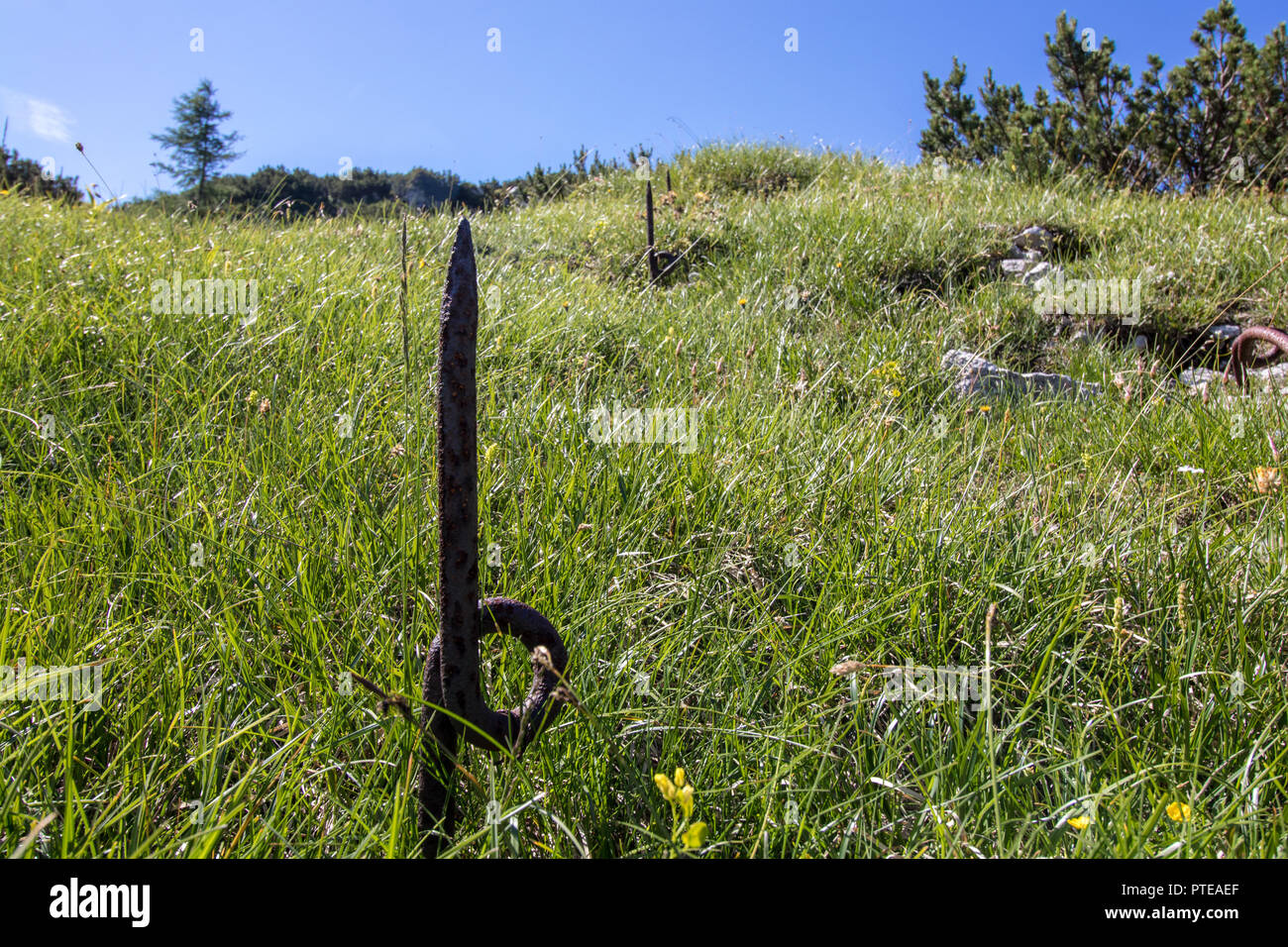 a few iron rods in the field from 1 world war Stock Photo - Alamy