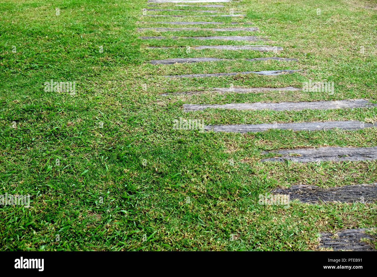 wood stair way on green garden outdoor Stock Photo - Alamy