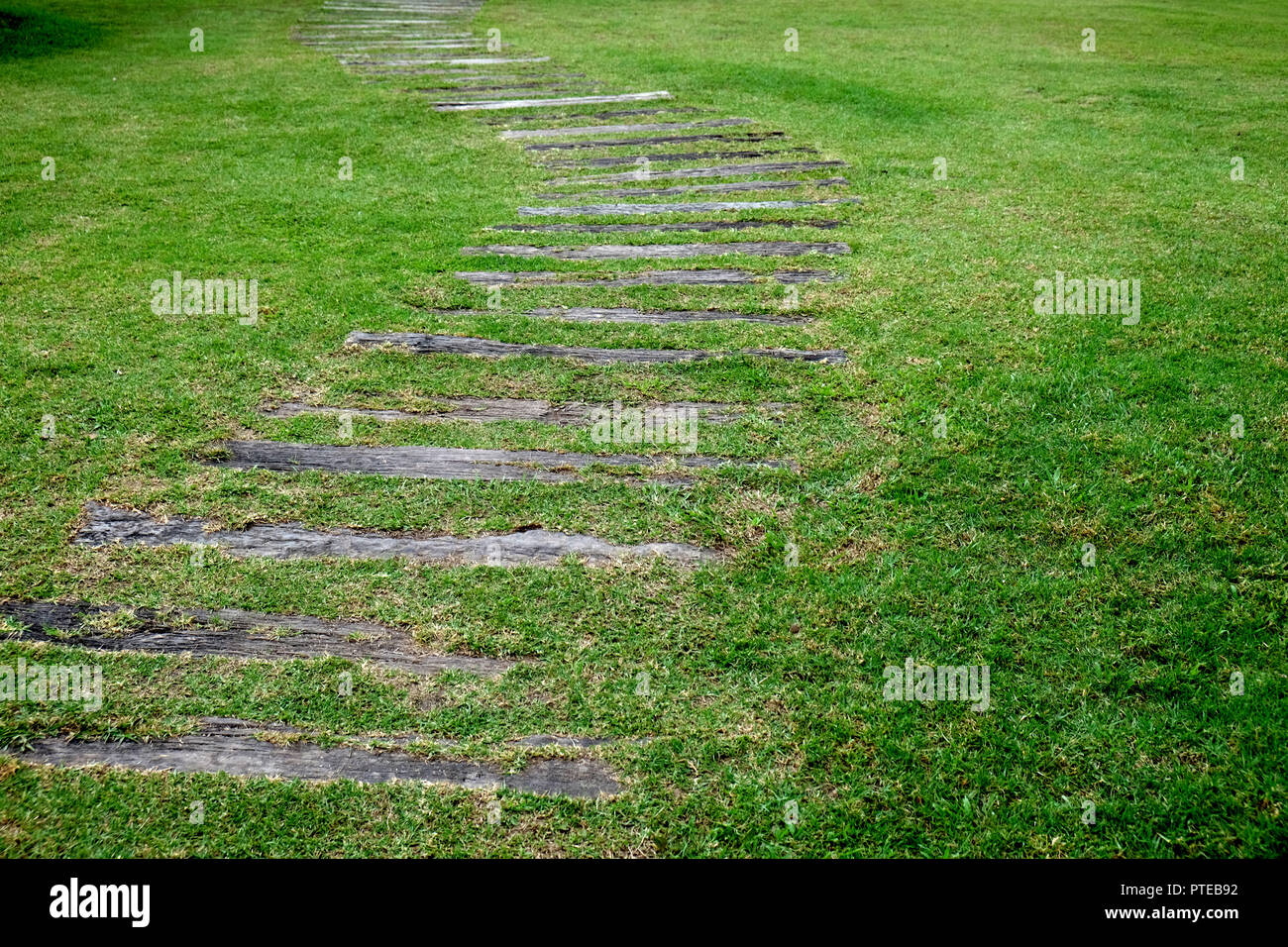 wood stair way on green garden outdoor Stock Photo - Alamy