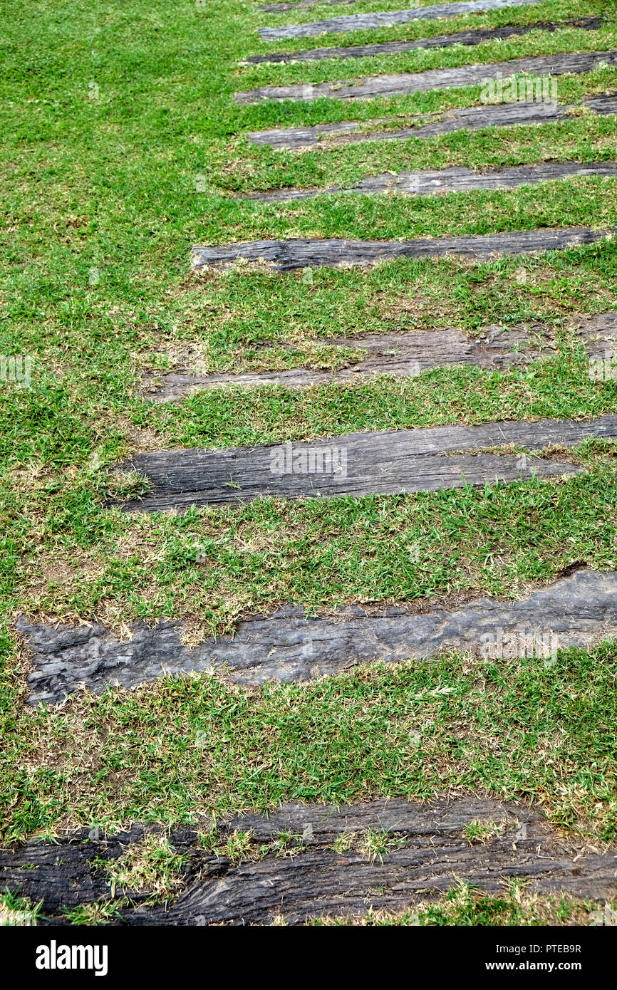 Garden outdoor pathway step up hi-res stock photography and images - Alamy