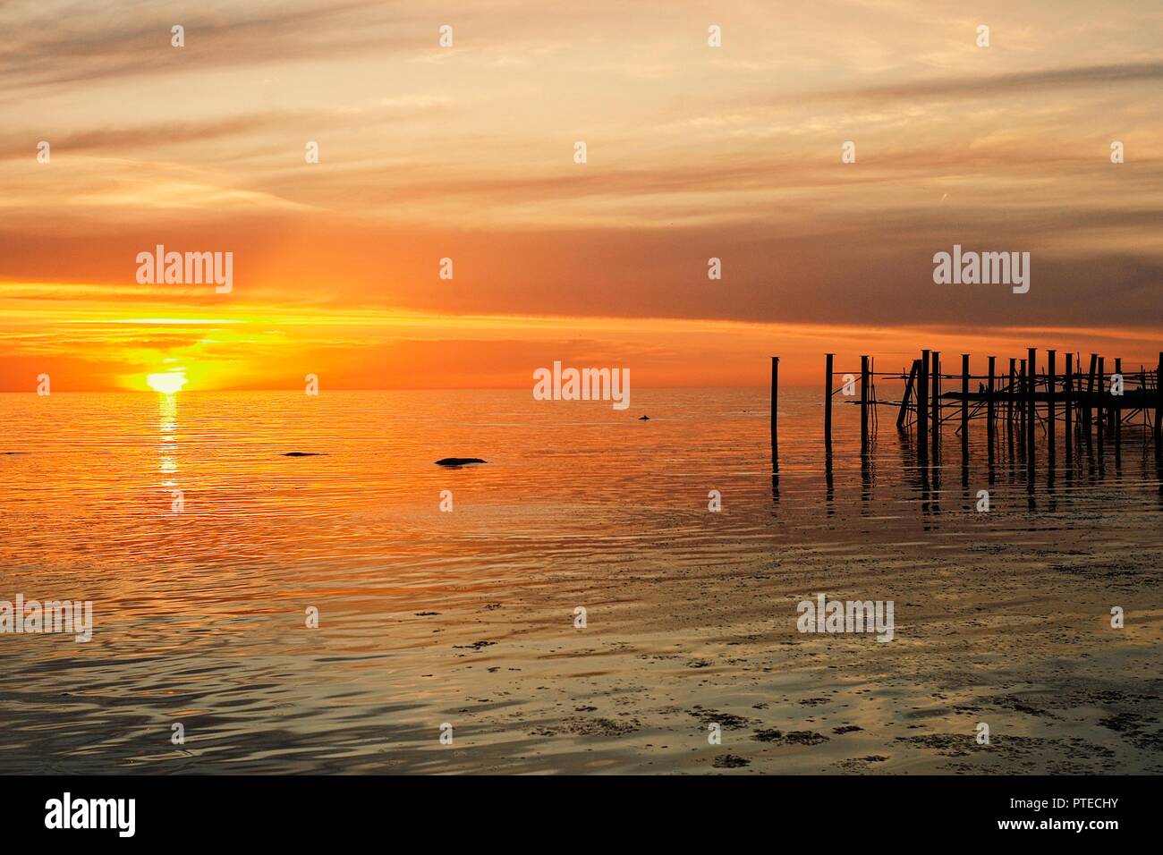 Desert dock hi-res stock photography and images - Alamy