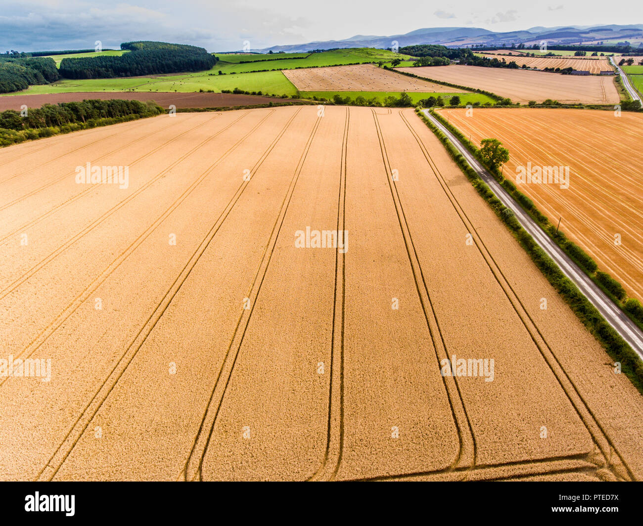 Aerial view of corn field in Northumberland at harvest time Stock Photo ...