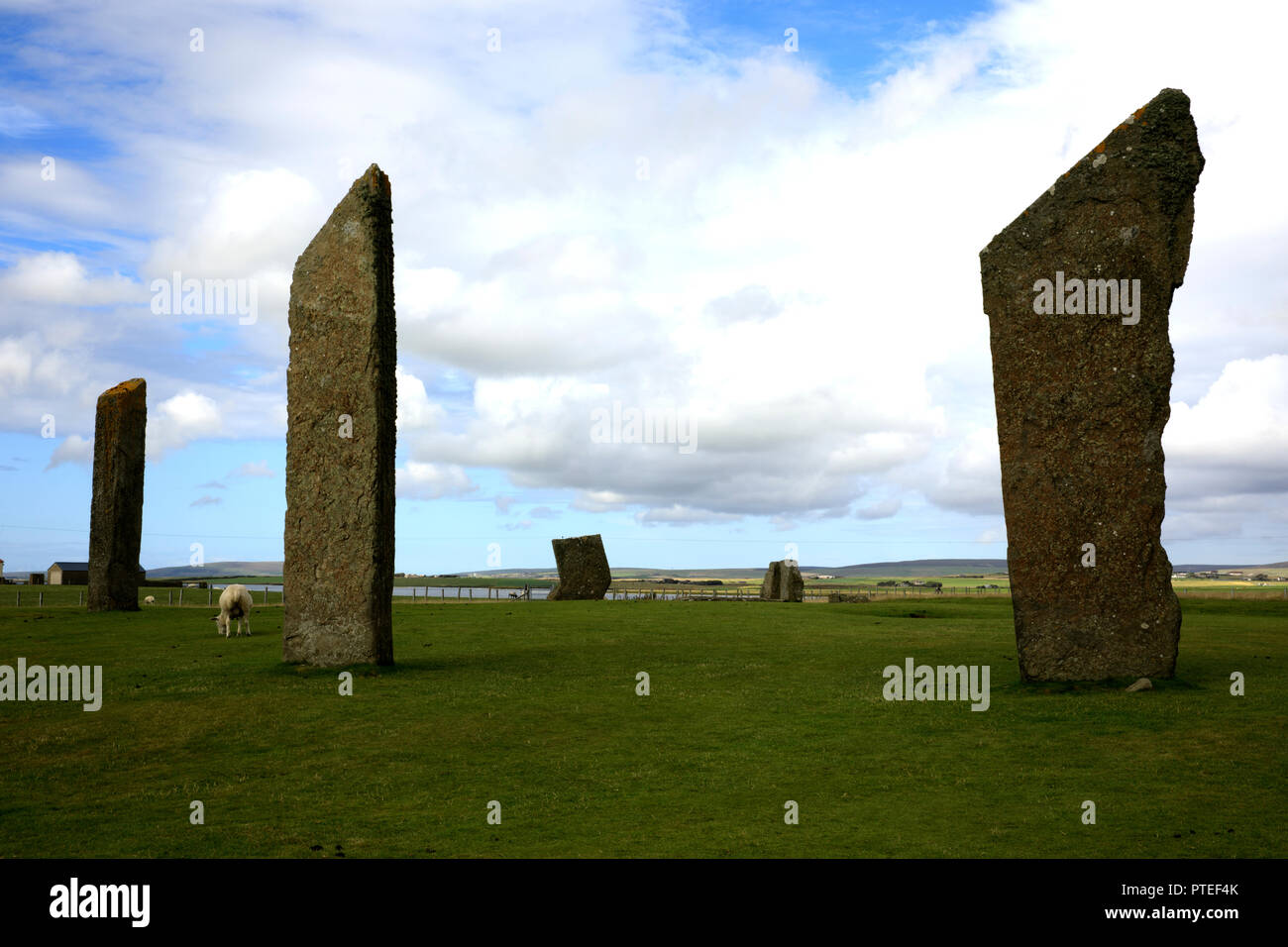 Standing Stones of Stenness, Neolithic megaliths in the island of ...