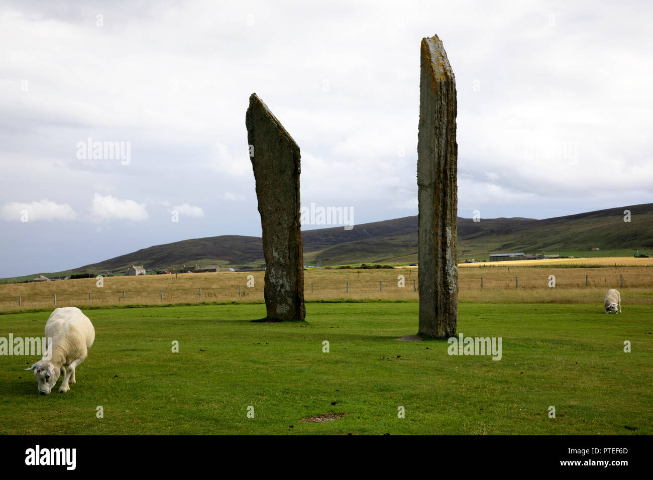Standing Stones of Stenness, Neolithic megaliths in the island of ...