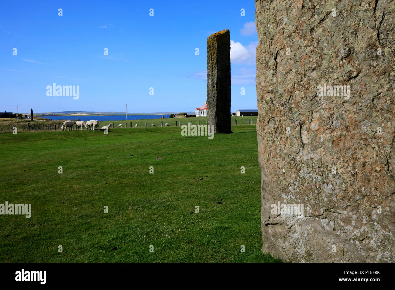 Standing Stones of Stenness, Neolithic megaliths in the island of ...