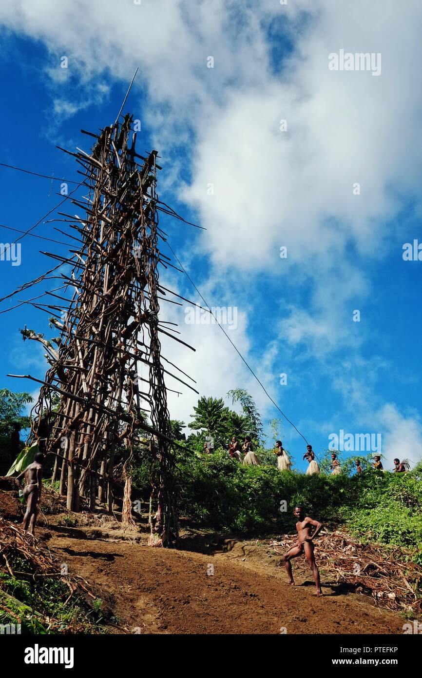 Panngi, Pentecost Island / Vanuatu - MAY 10 2016: Land diving ceremony ...