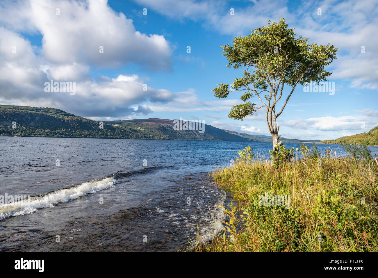 Loch ness highlands scotland hi-res stock photography and images - Alamy