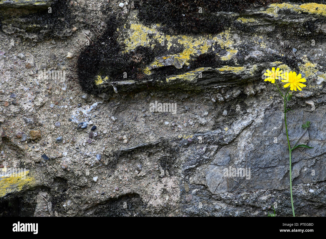 Weathered rock texture hi-res stock photography and images - Alamy