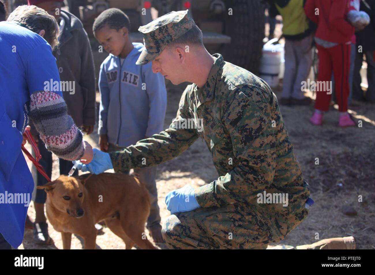 LCpl. Daniel Temple, 3rd Battalion, 25th Marines administers a flea ...