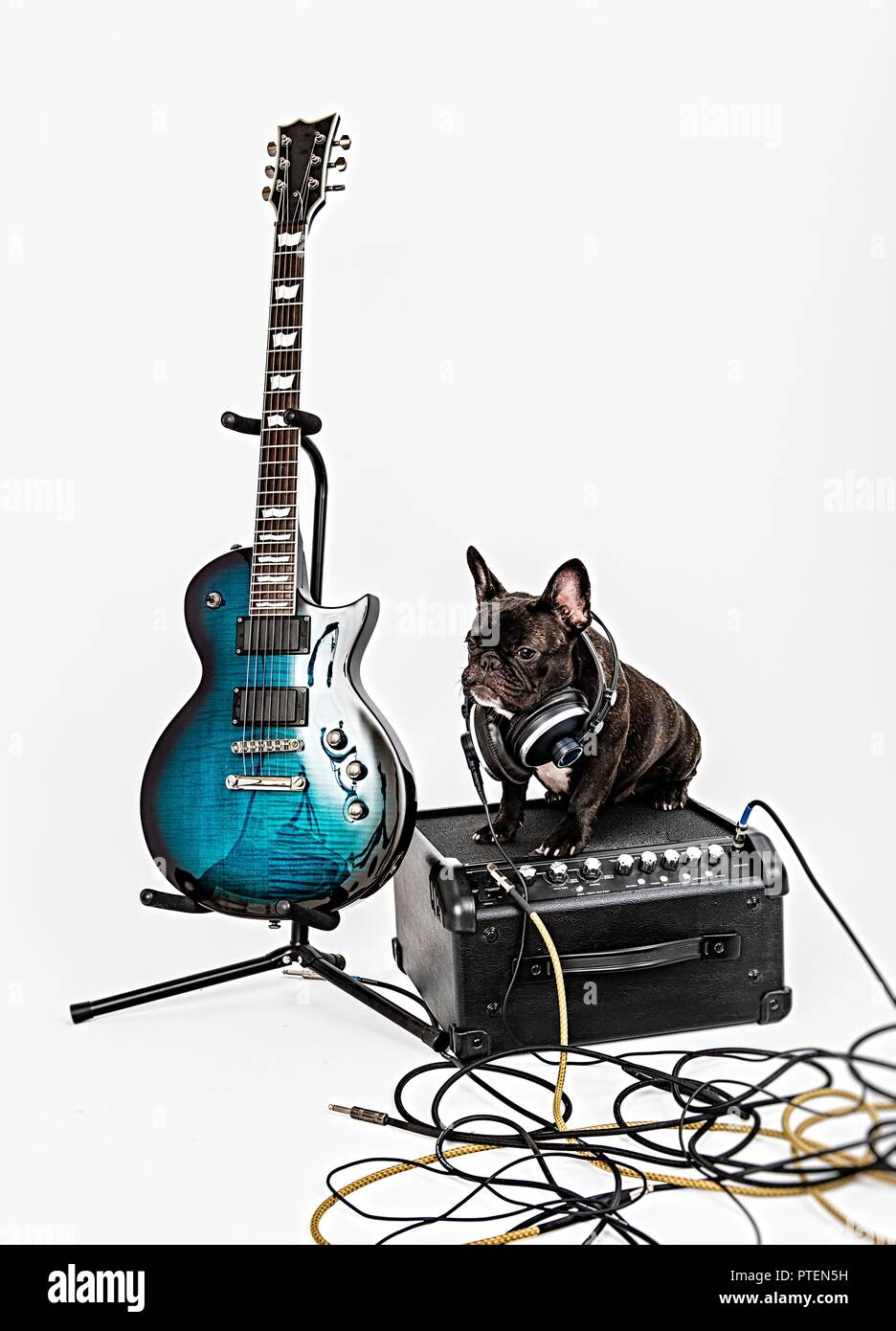 French amplifier hi-res stock photography and images - Alamy