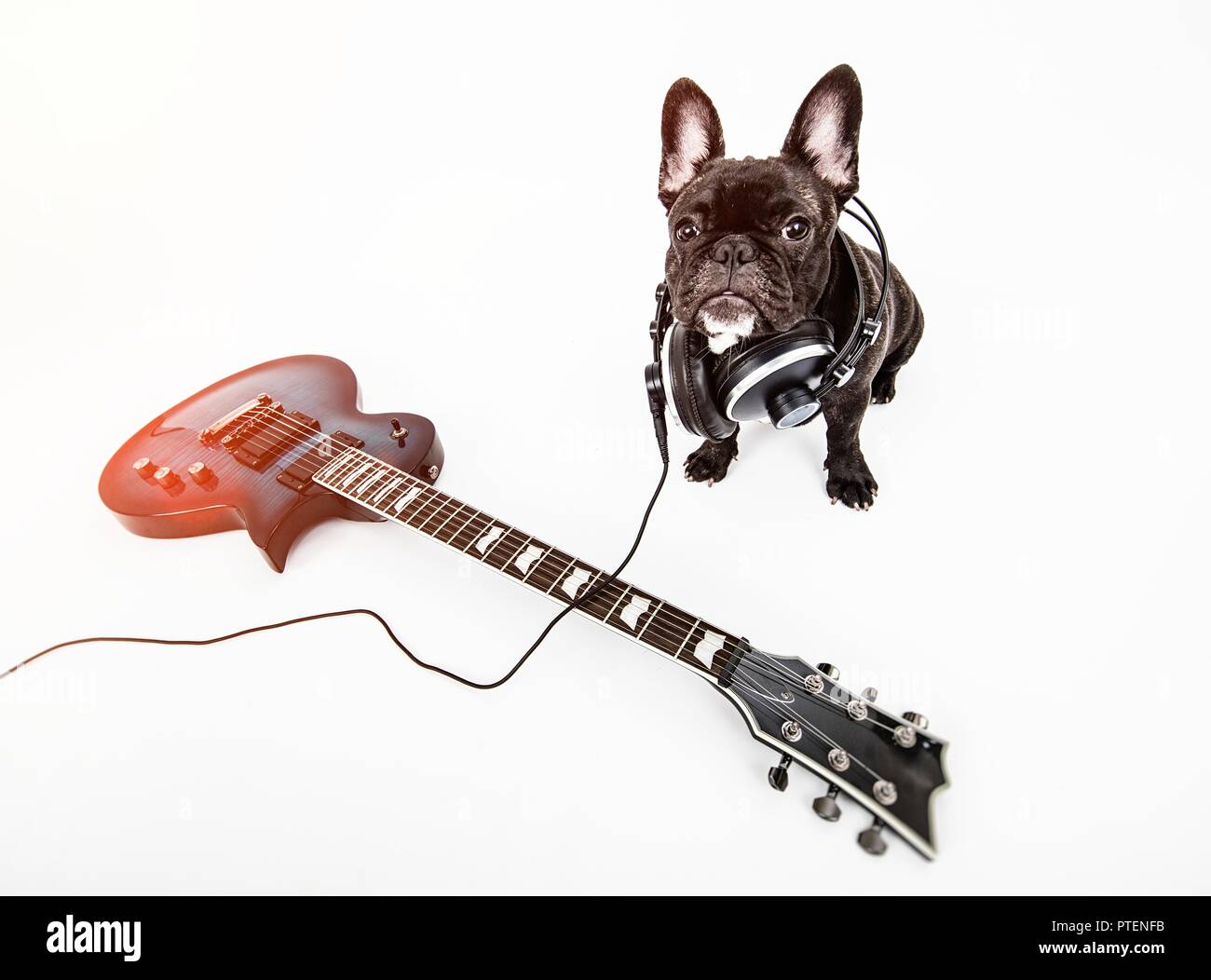 French amplifier hi-res stock photography and images - Alamy
