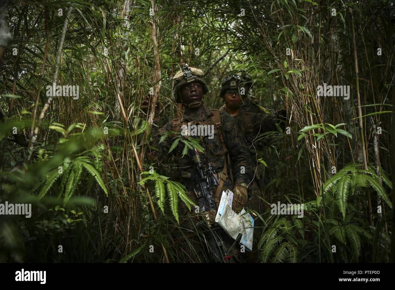 Jungle operations training center hi-res stock photography and images ...