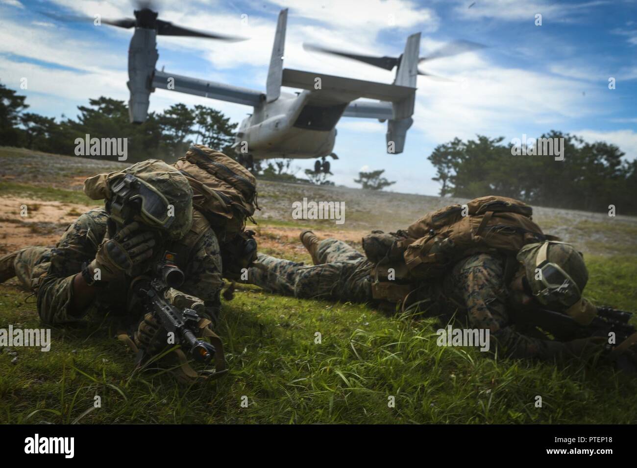 U.S. Marines with Alpha Company, 1st Battalion, 3rd Marine Regiment ...