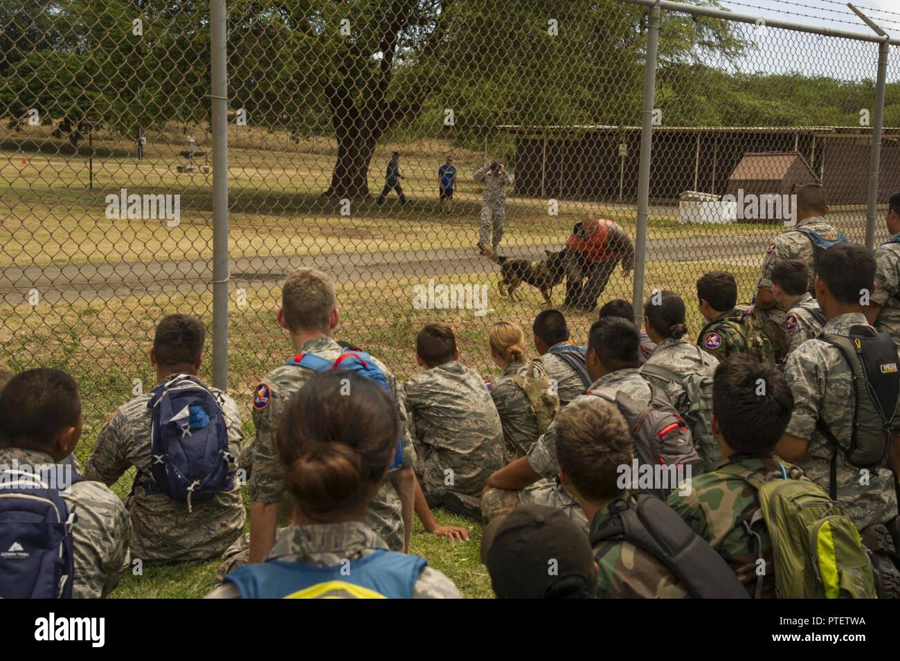 Cadets from the Civil Air Patrol watch a military working dog ...