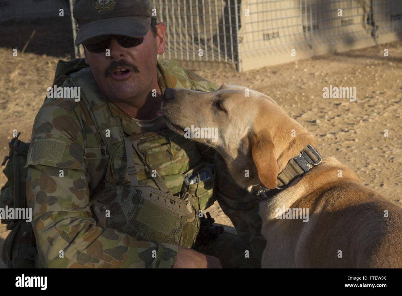 An Australian soldier praises his explosives-detection dog after ...