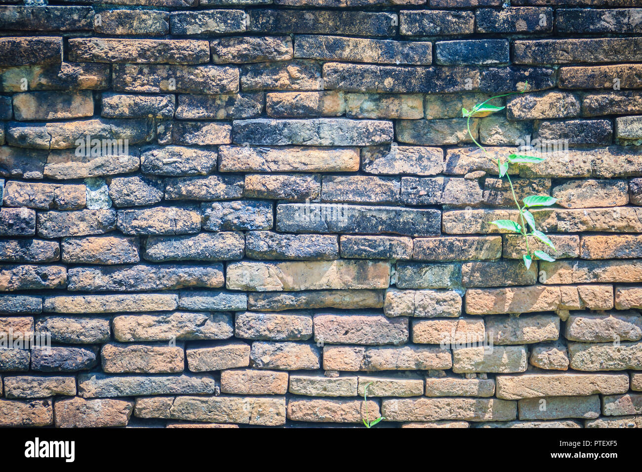 Crumbling Brick Wall Texture