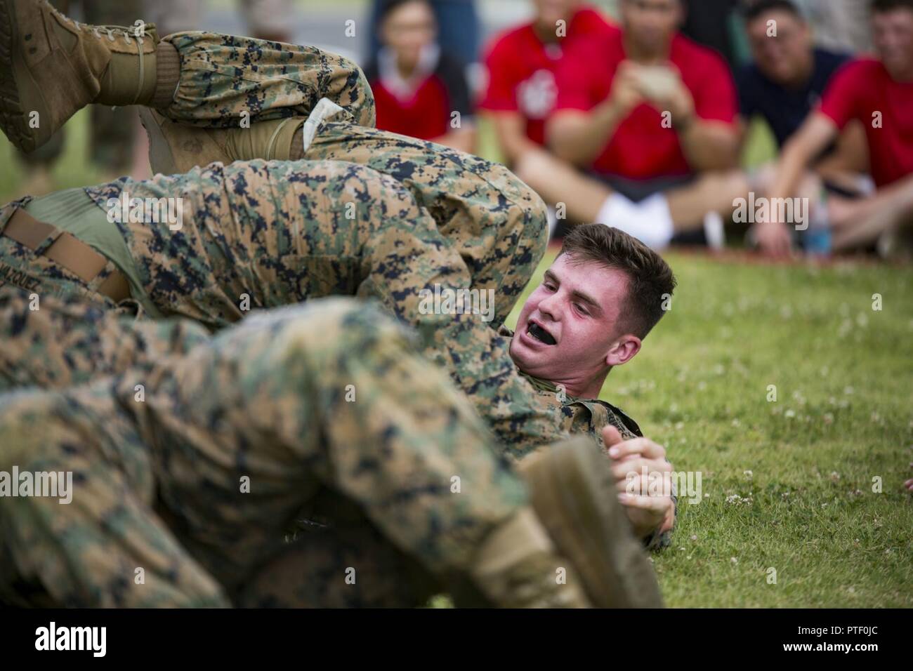 U.S. Marines with Marine Aviation Logistics Squadron (MALS) 12 grapple ...