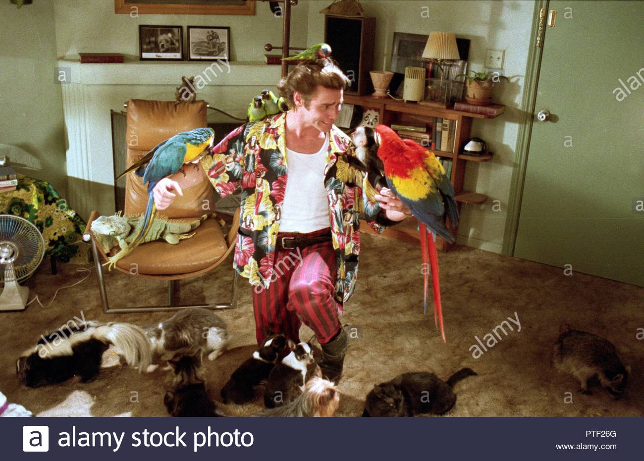 Ace Ventura Pet Detective 1994 Stock Photos & Ace Ventura Pet Detective ...
