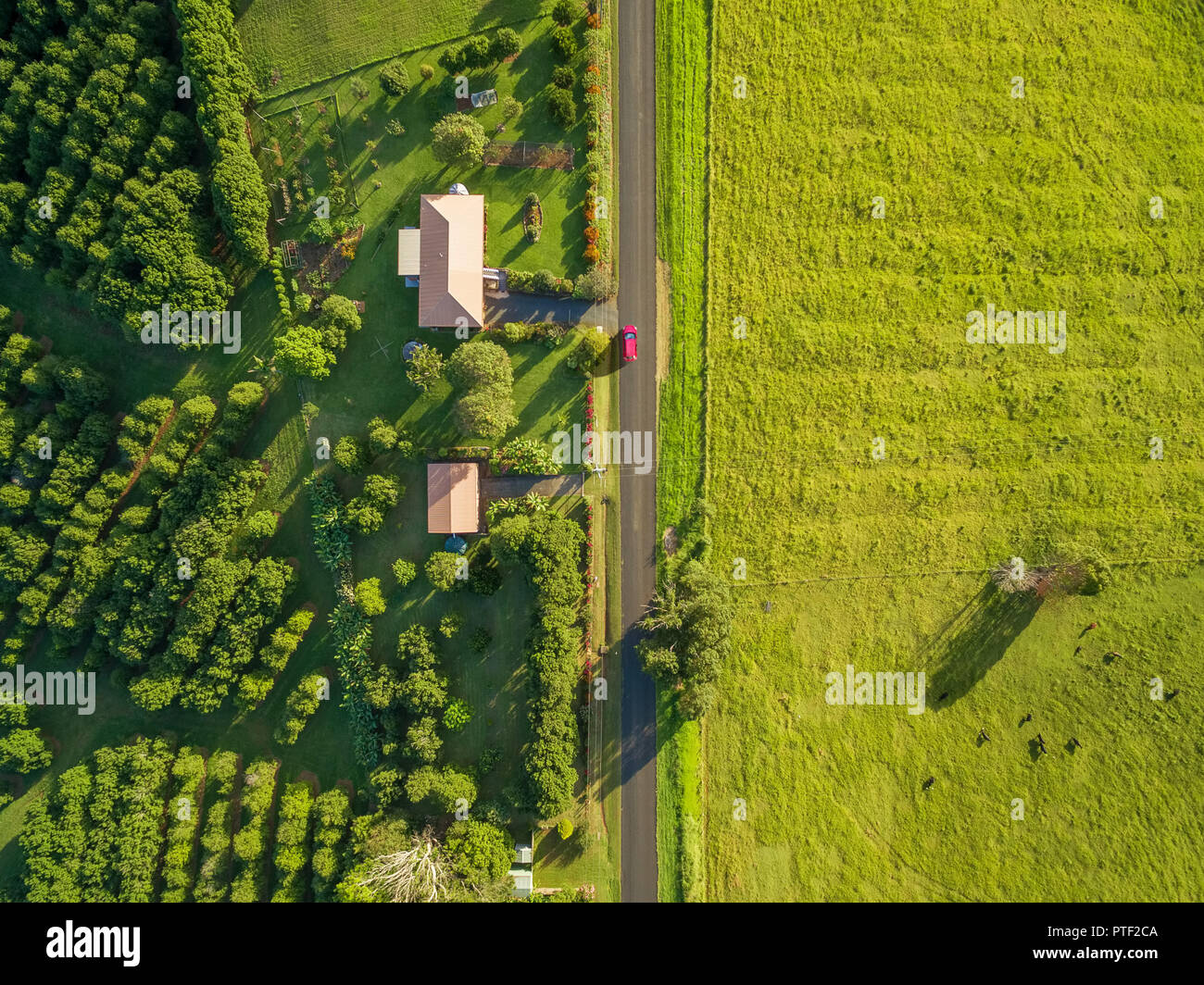 Aerial view - looking down at red car driving on rural highway among ...