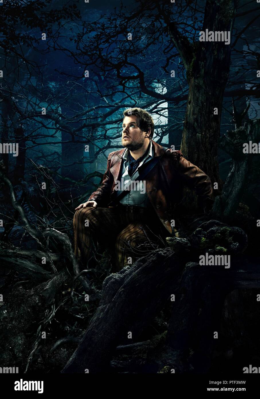 Disney Into The Woods Movie