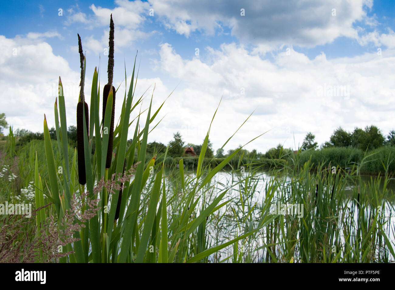 Reed Mats High Resolution Stock Photography and Images - Alamy