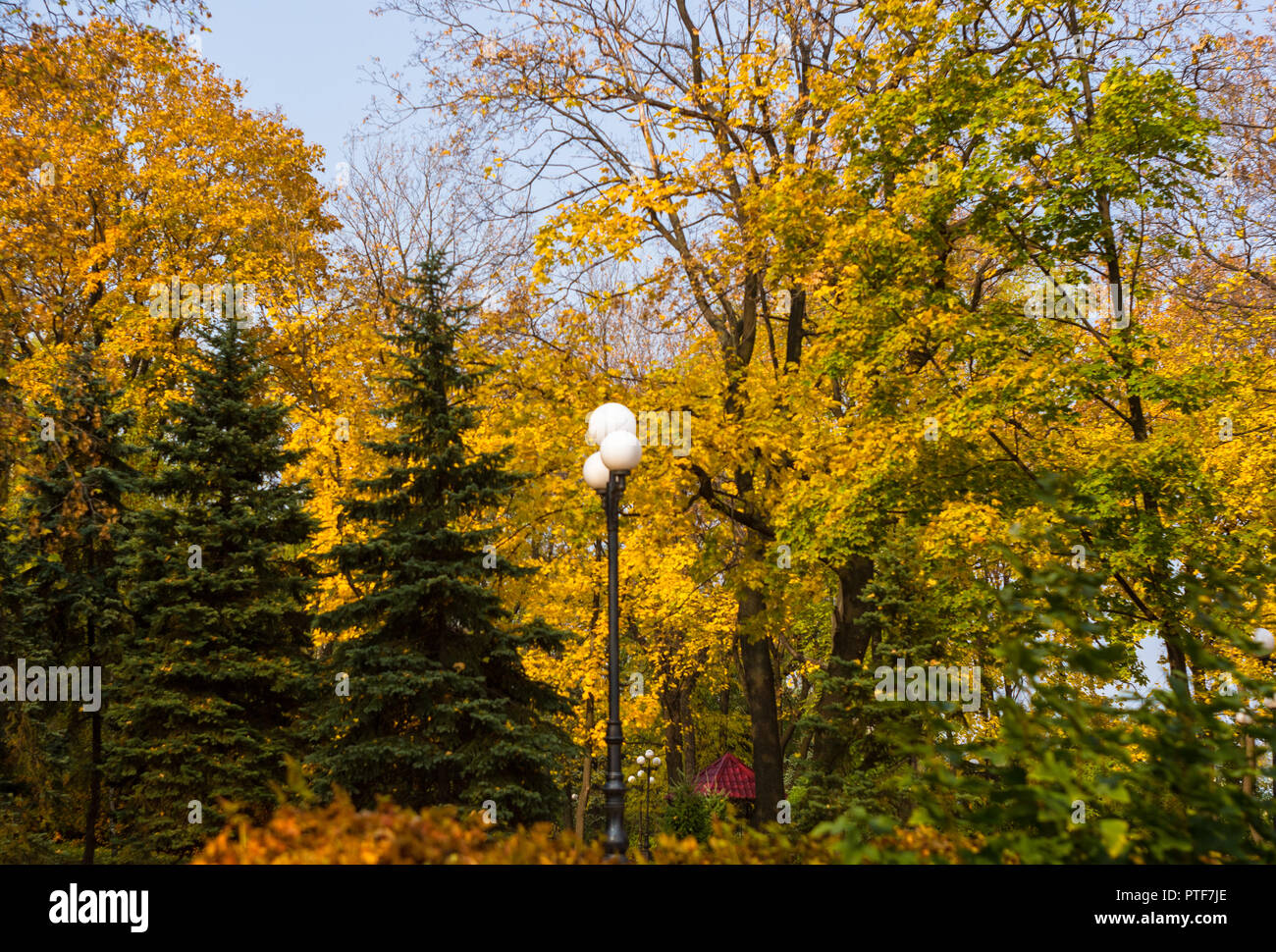 Urban autumn landscape with colorful trees in sunlight Stock Photo - Alamy