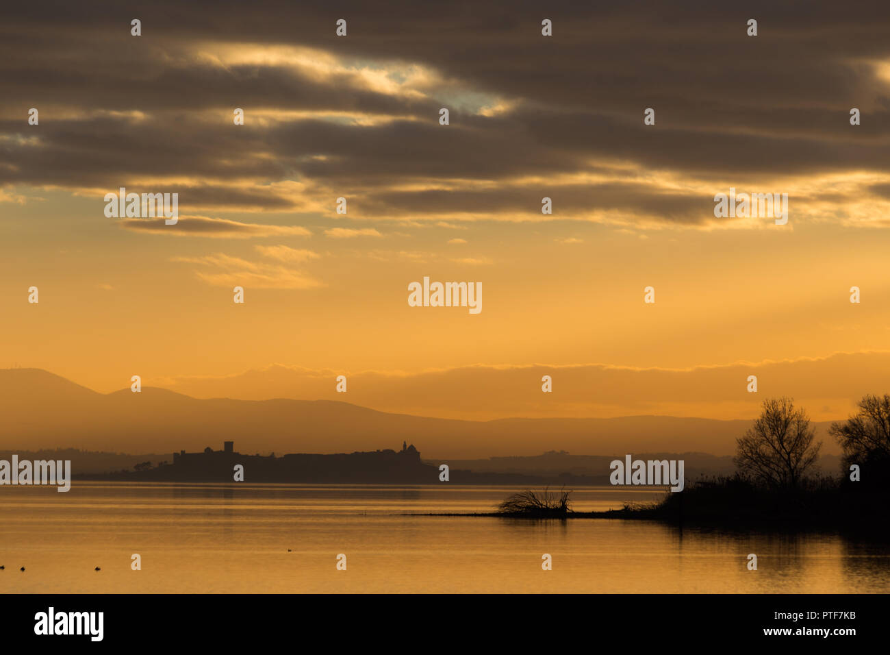 Beautiful view of a lTrasimeno lake at sunset, with orange tones, birds ...