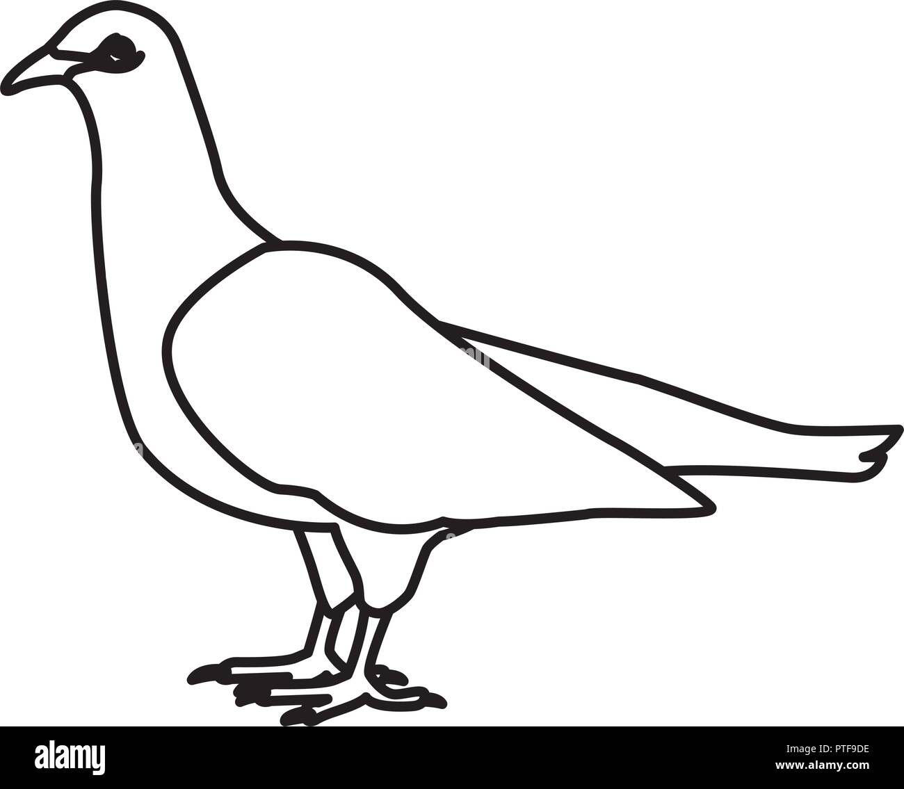 Closeup bird flying in Stock Vector Images - Alamy