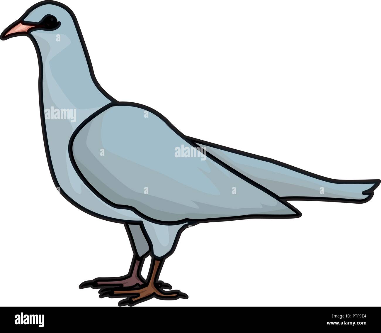 Closeup bird flying in Stock Vector Images - Alamy