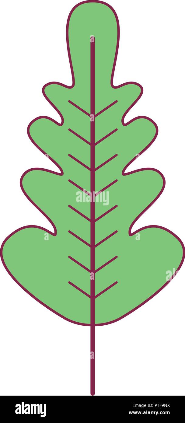 Leaf nature symbol Stock Vector Image & Art - Alamy