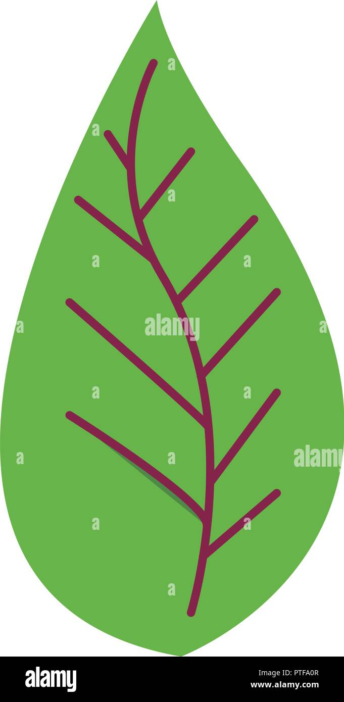 Leaf nature symbol Stock Vector Image & Art - Alamy