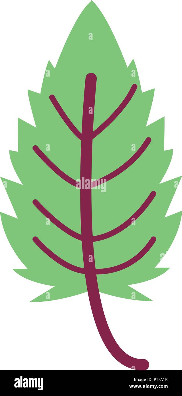 Leaf nature symbol Stock Vector Image & Art - Alamy