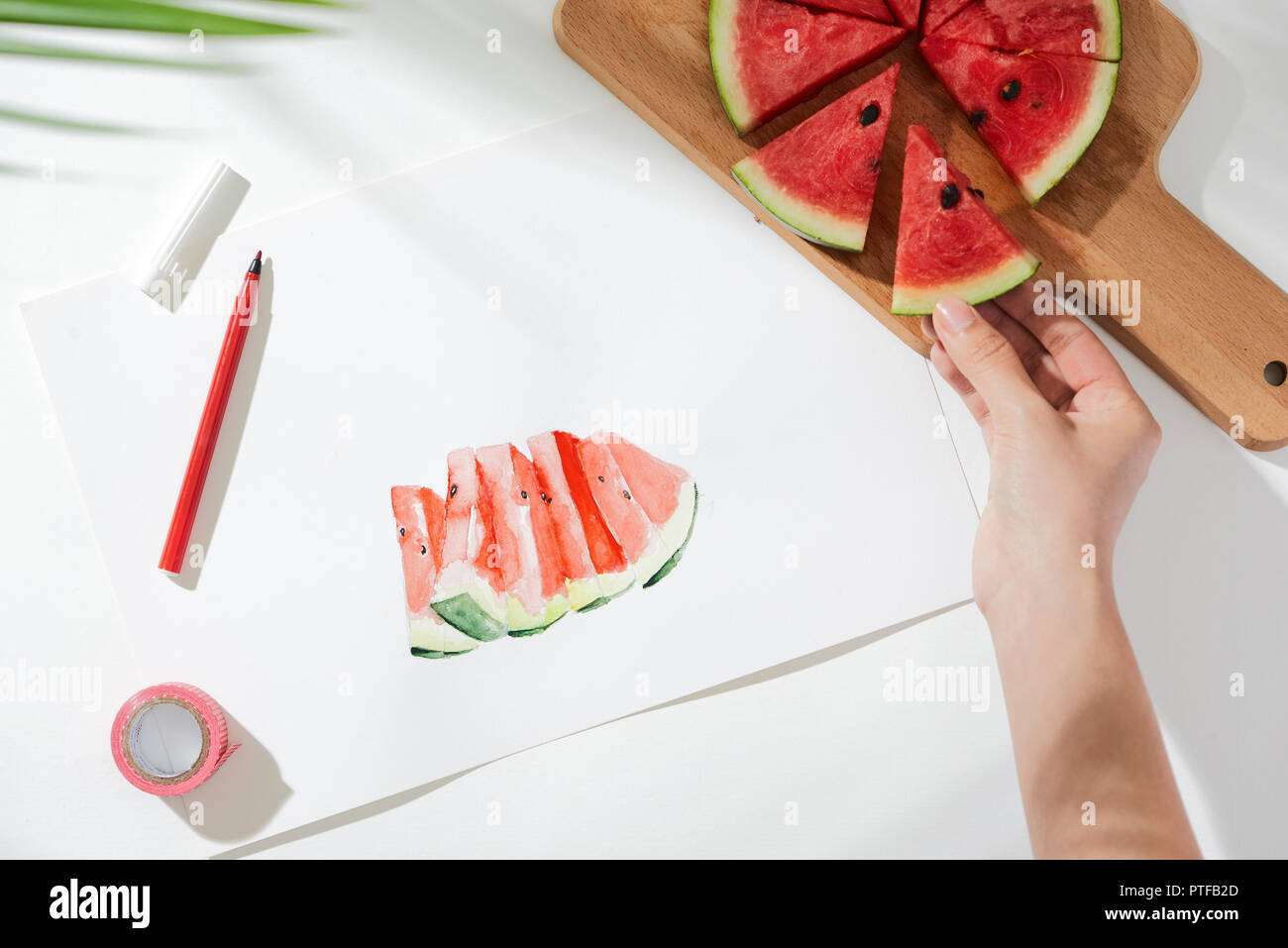 Tropical summer concept made of watermelon fruit and hand drawing ...