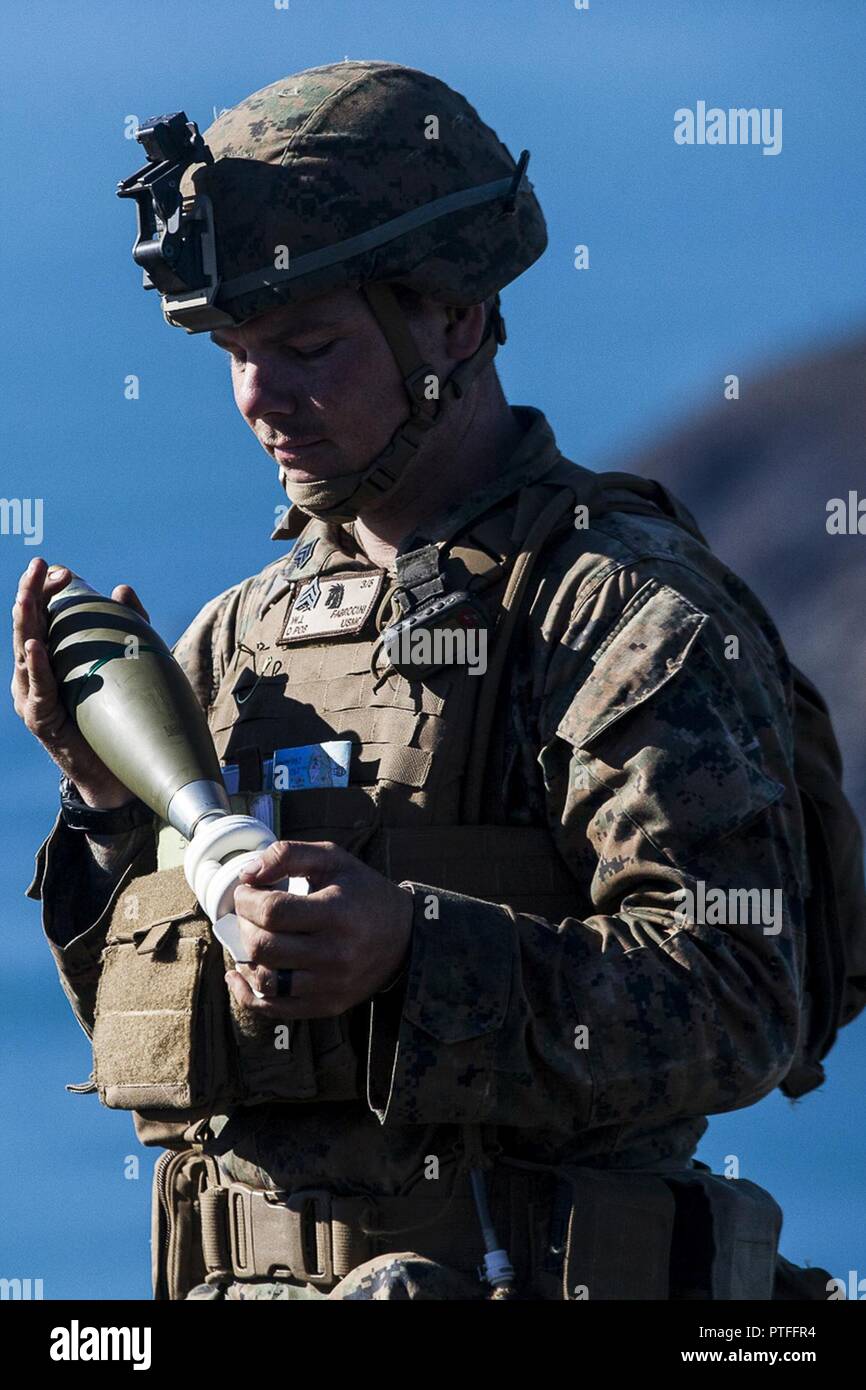 Sea dragon 2025 hi-res stock photography and images - Alamy