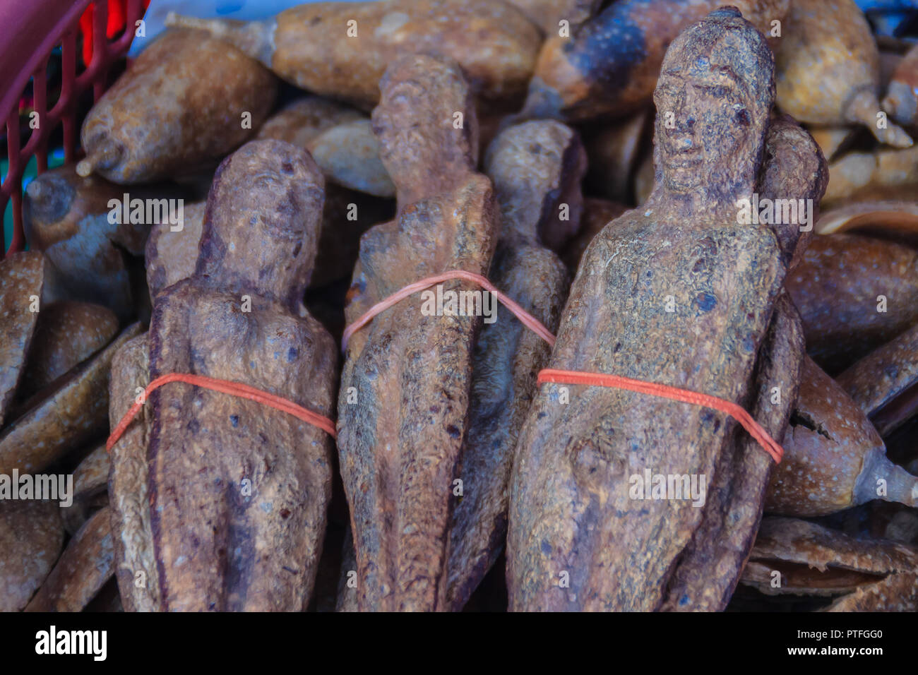 Dried Nariphon fruits for sale at the amulet market, Thailand. The ...