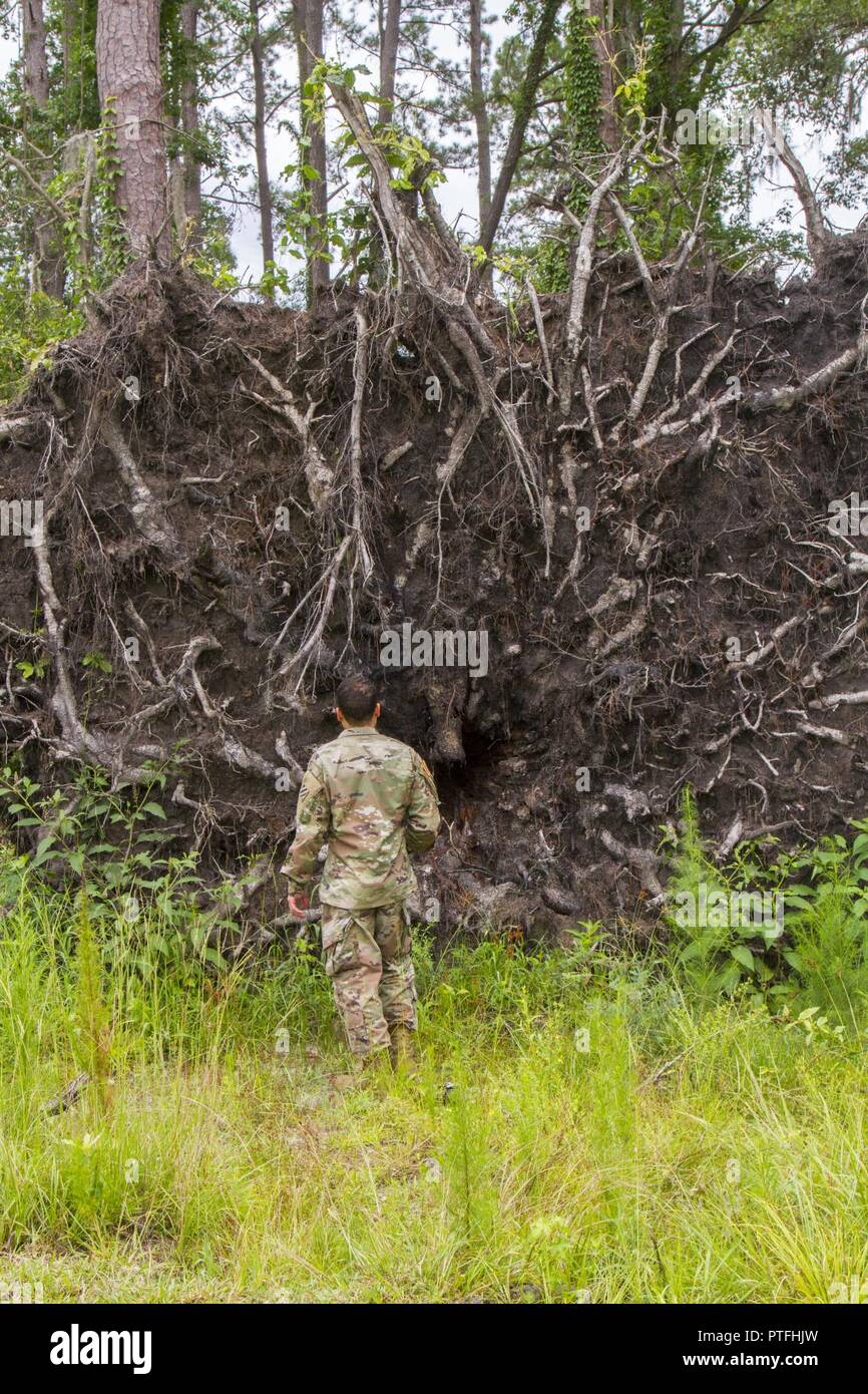 A Soldier stands next to one of the over 200 downed trees on Hunter ...
