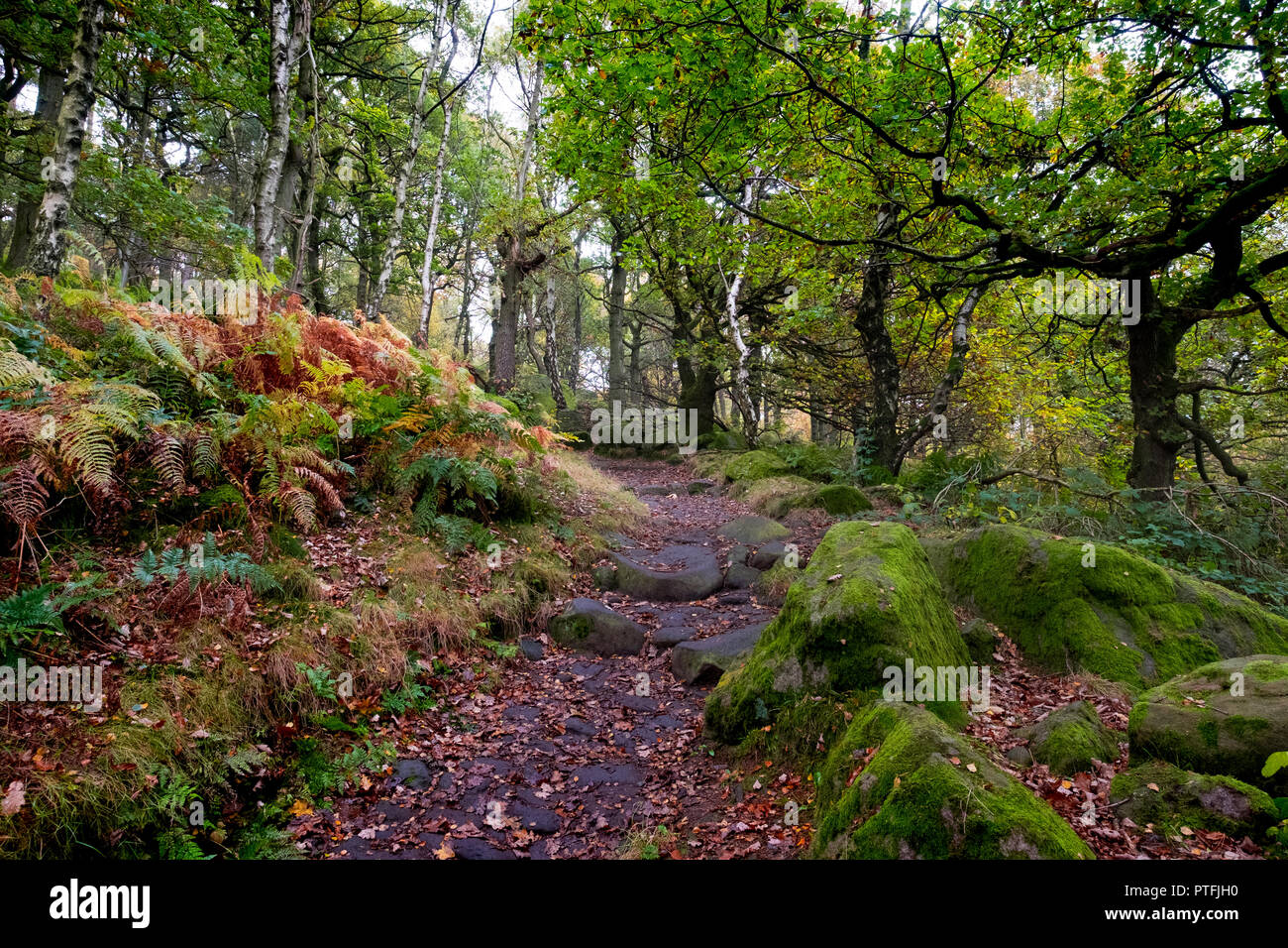 Padley Gorge in the Peak District National Park. Pathway leading ...