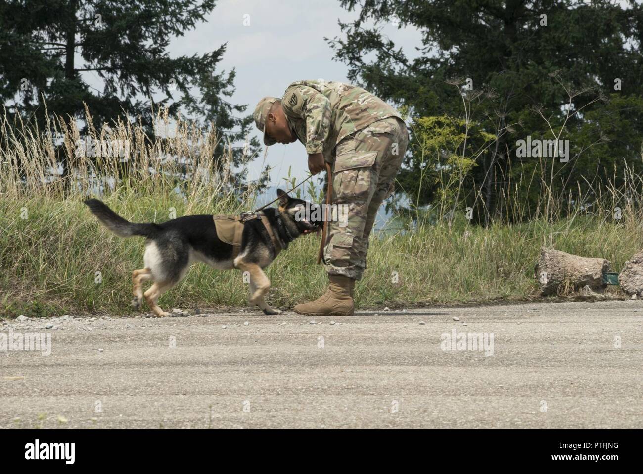 U.S. Army Pfc. Jamal W. Grier with the 131st Military Working Dog ...