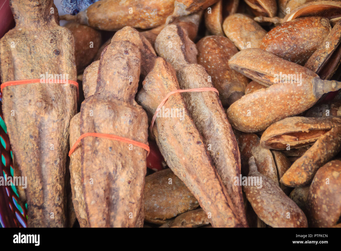 Dried Nariphon fruits for sale at the amulet market, Thailand. The ...