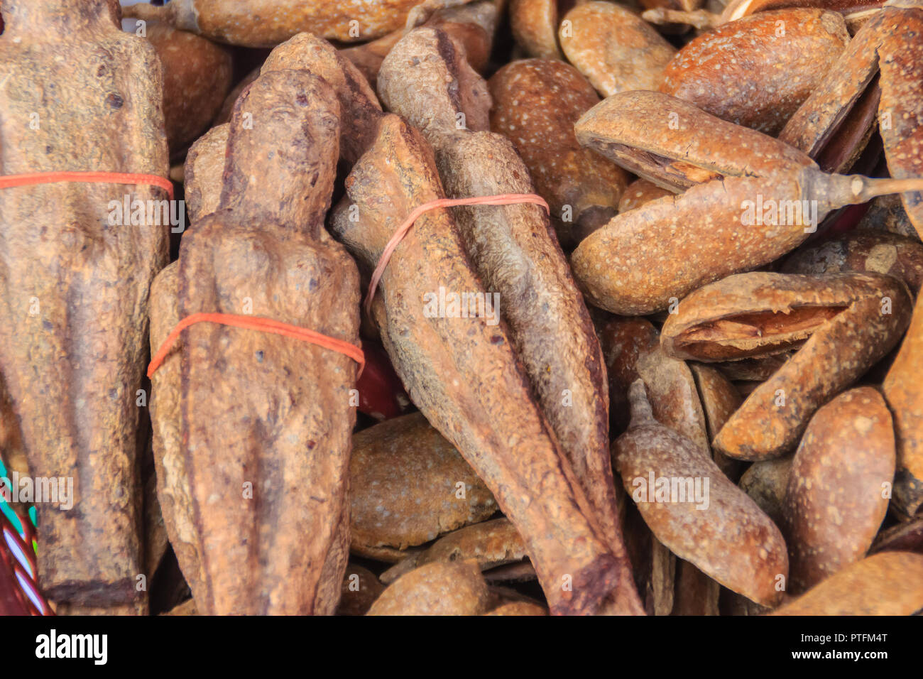 Dried Nariphon fruits for sale at the amulet market, Thailand. The ...