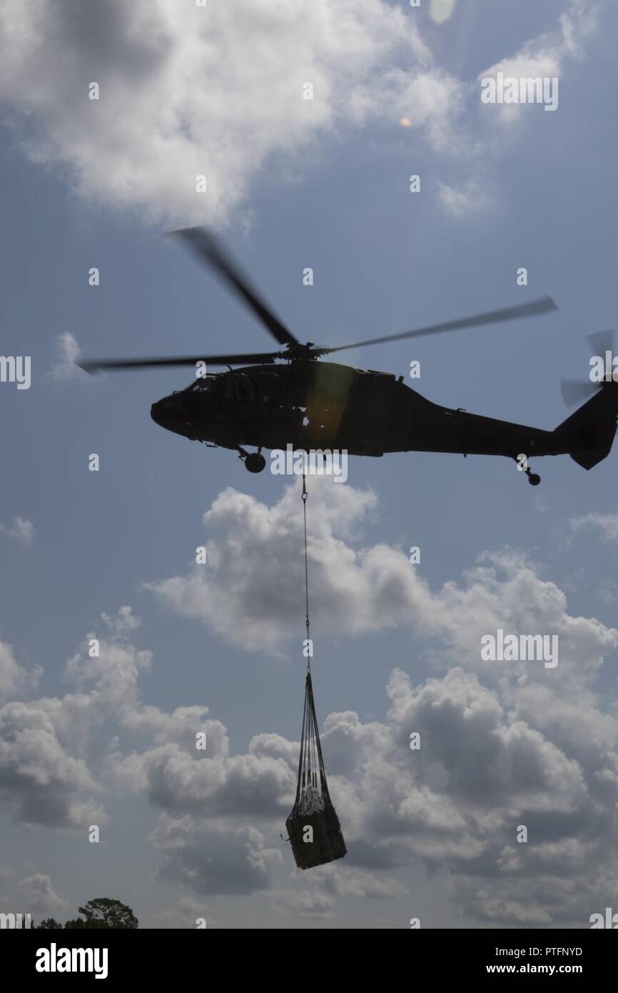A UH-60 Black Hawk helicopter with Company C, 1st Battalion, 131st ...