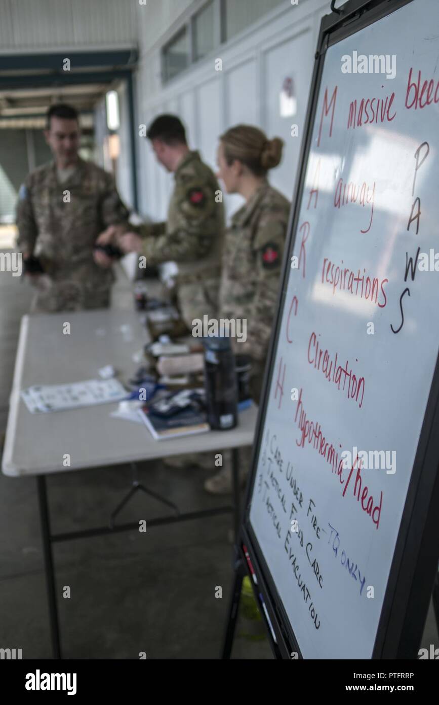 U.S. Air Force 353rd Special Operations Group flight surgeon and ...