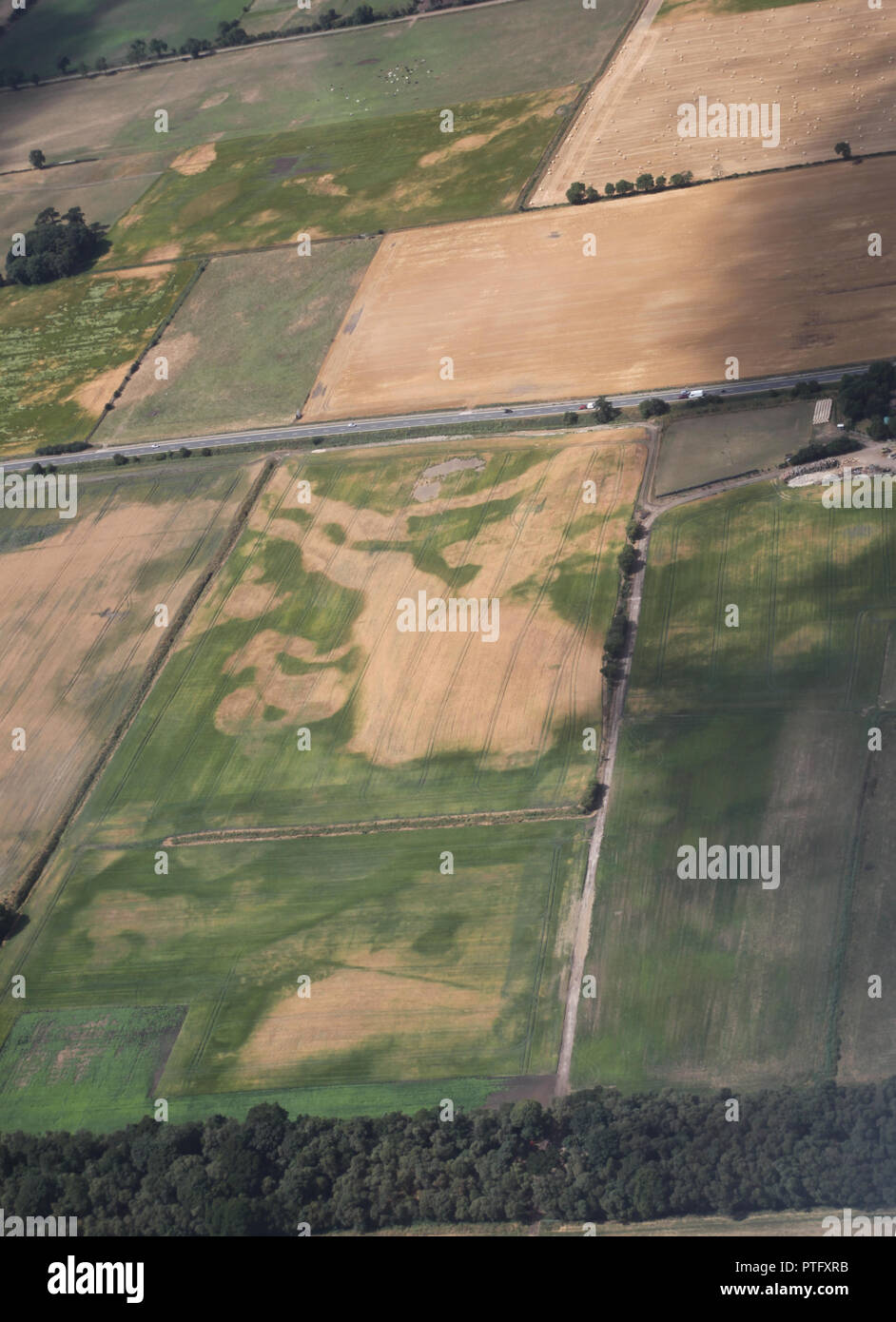 Star carr site hi-res stock photography and images - Alamy