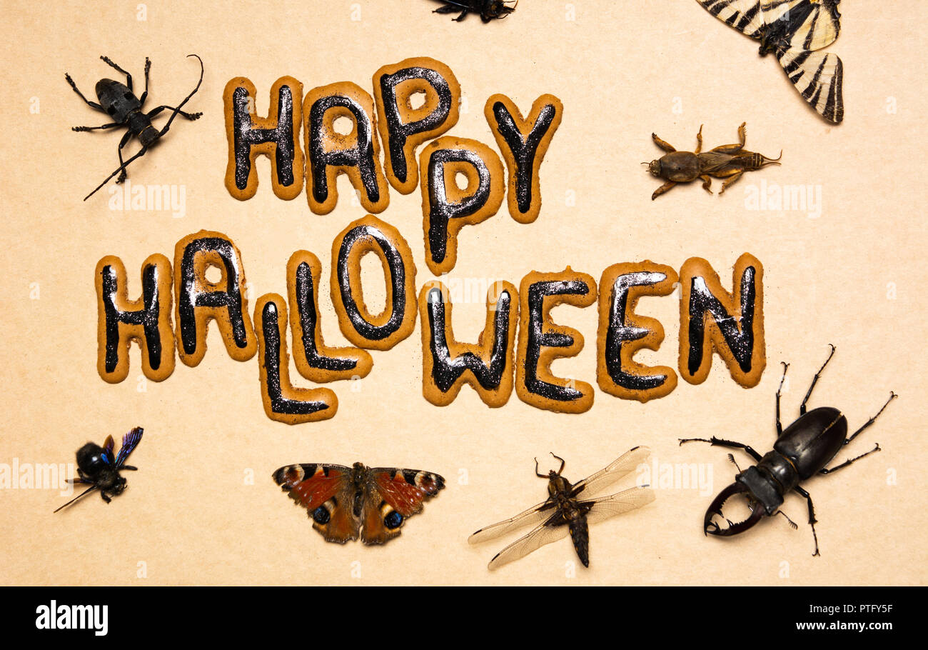 Dead insects hi-res stock photography and images - Alamy