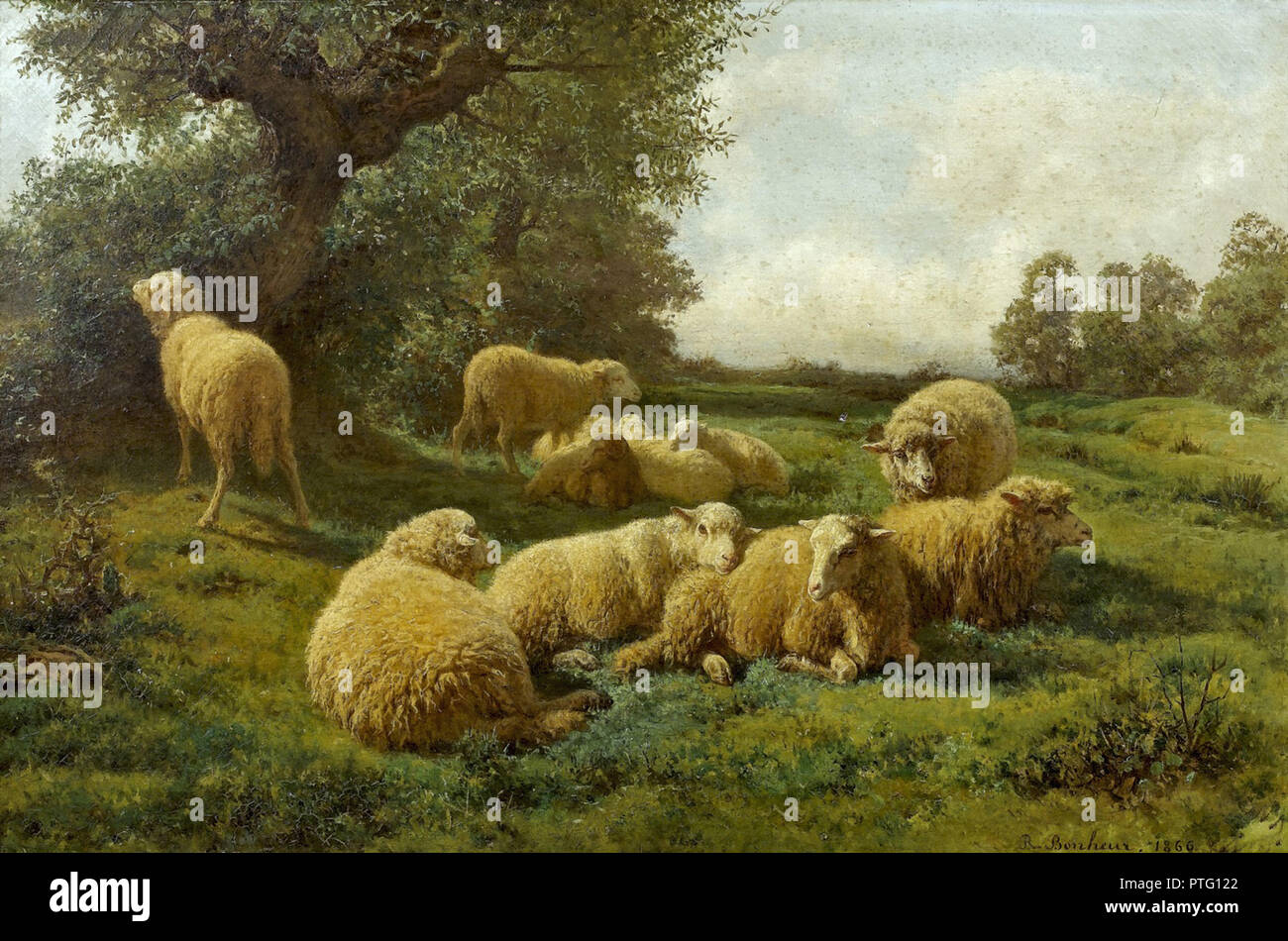 Sheep at rest hi-res stock photography and images - Alamy