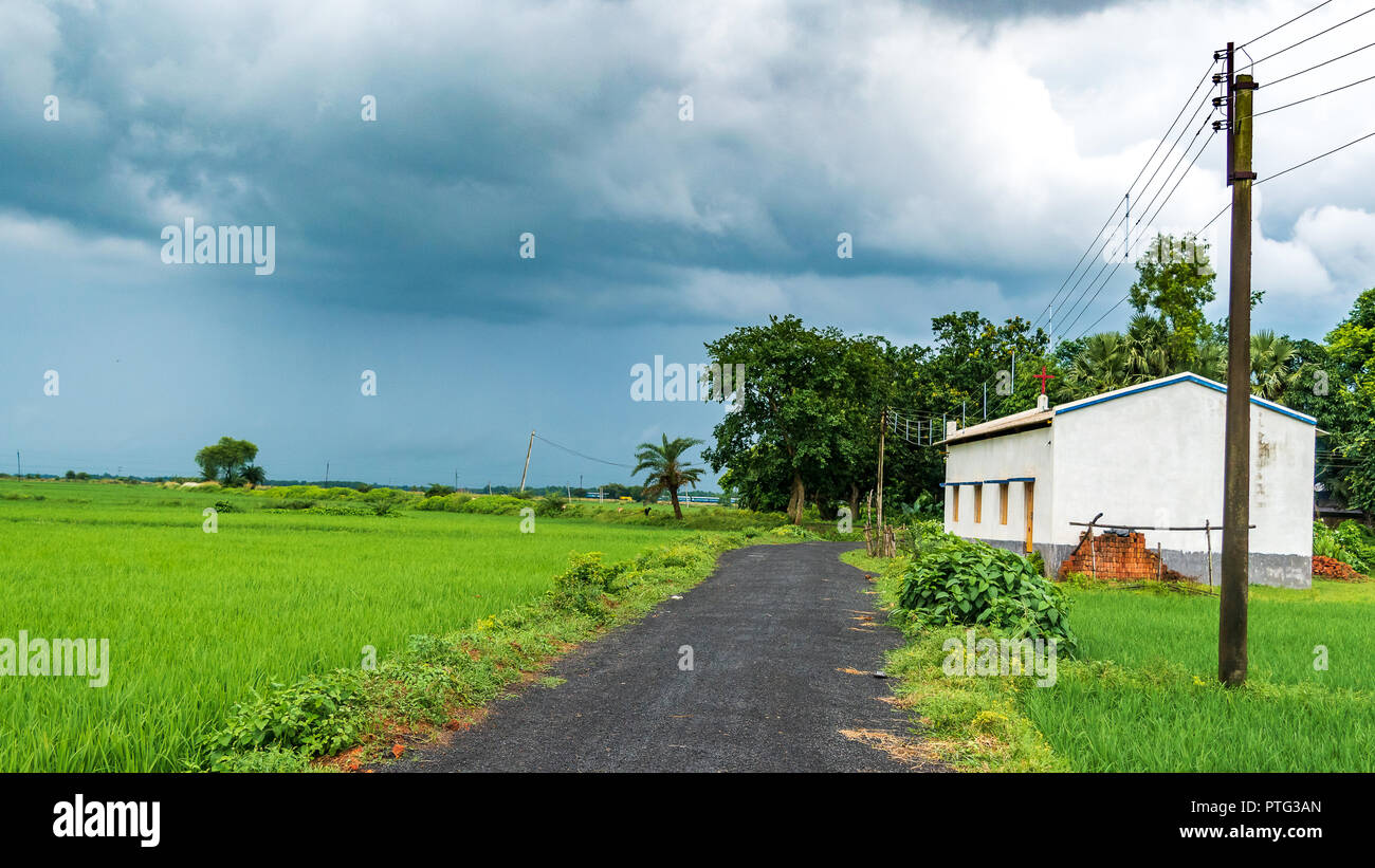 Indian Agricultural field with village road Stock Photo - Alamy