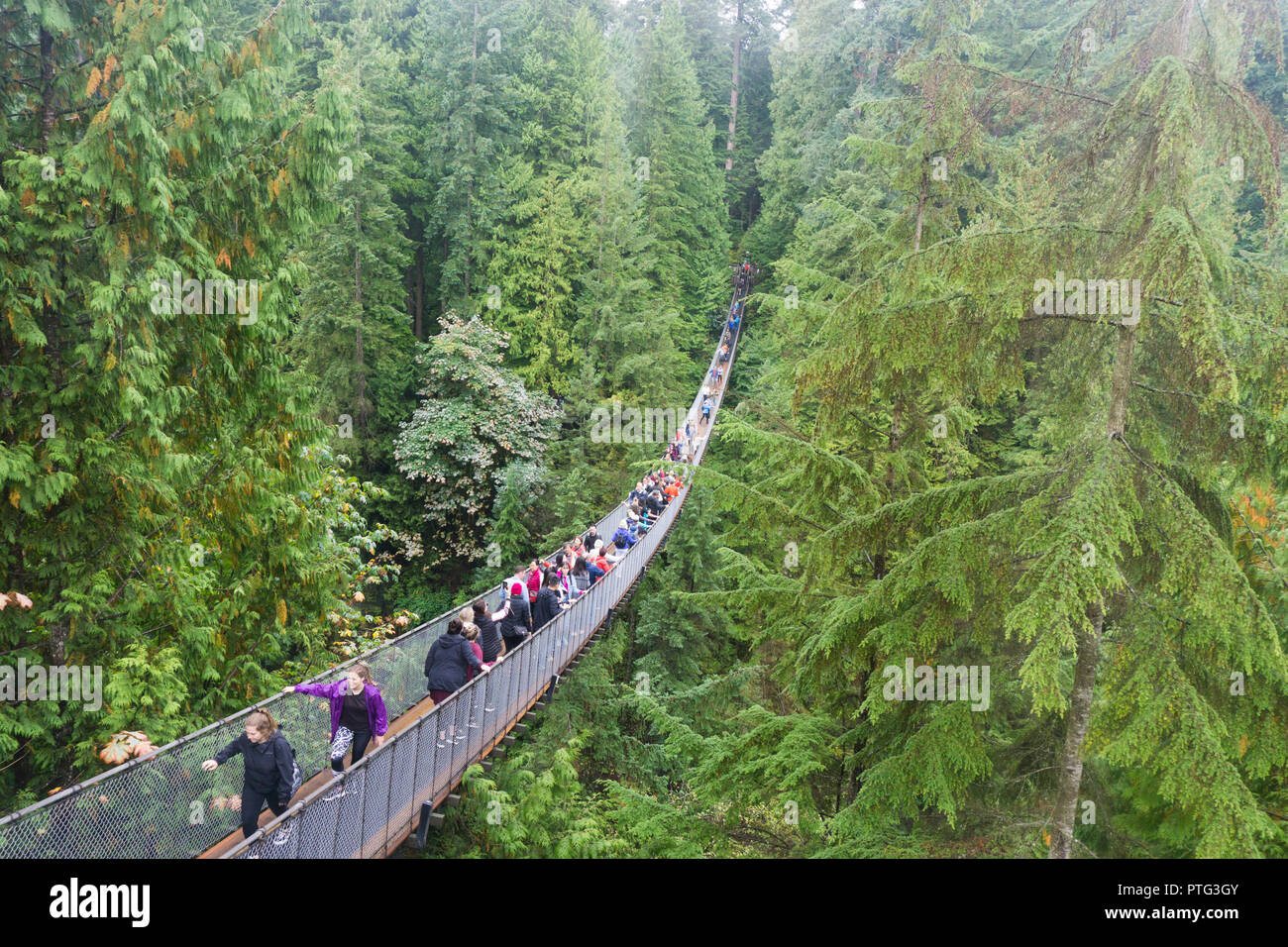 Cliff walk capilano suspension bridge park vancouver canada hi-res ...