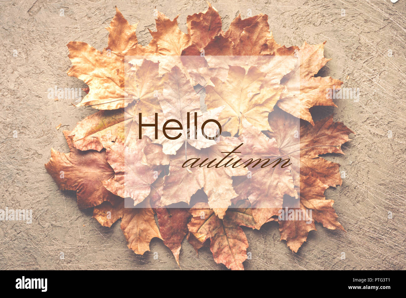Hello autumn text message hi-res stock photography and images - Alamy